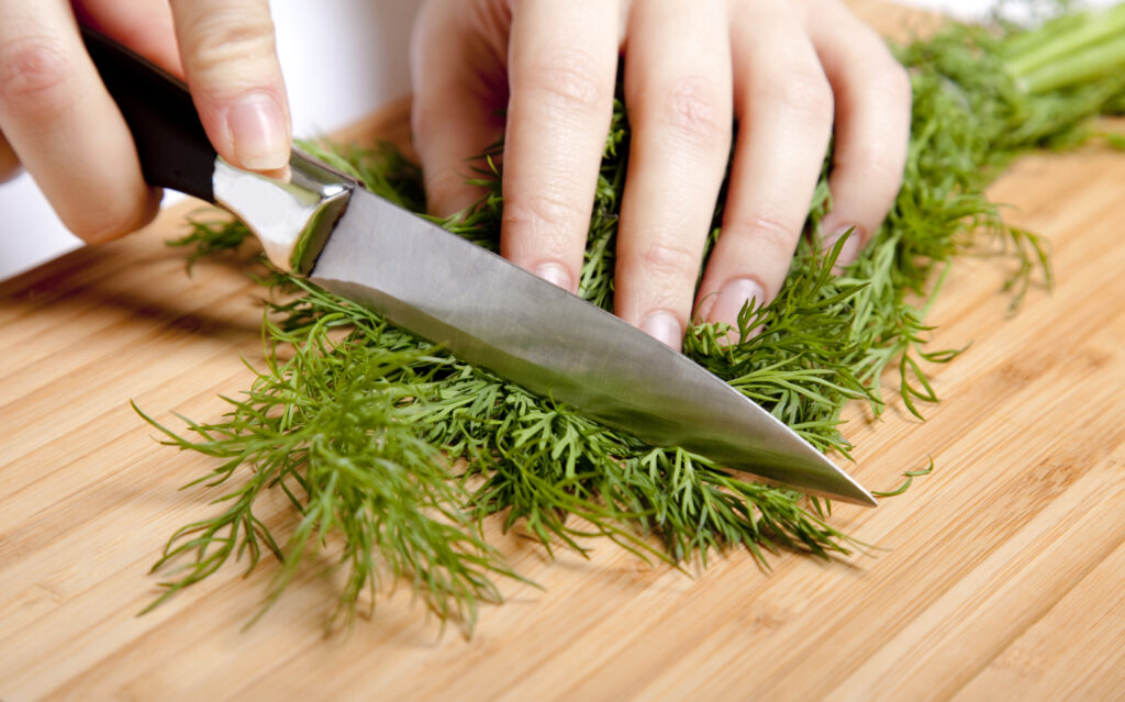 How to plant and grow Dill - www.plant-universe.com